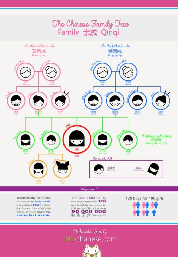 Chinese family tree made easy: all the vocabulary you need in this ...