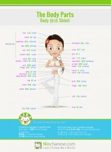 Body parts in Chinese - Infographic! Your key to a perfect massage ...