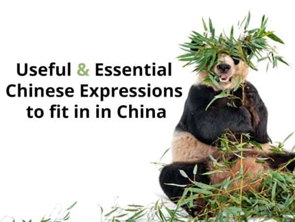 Useful and Essential Chinese Expressions to fit in in China