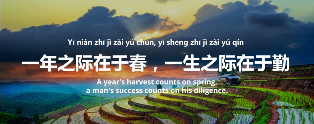Chinese Proverbs: How to Use Them to Learn a Language - Ninchanese