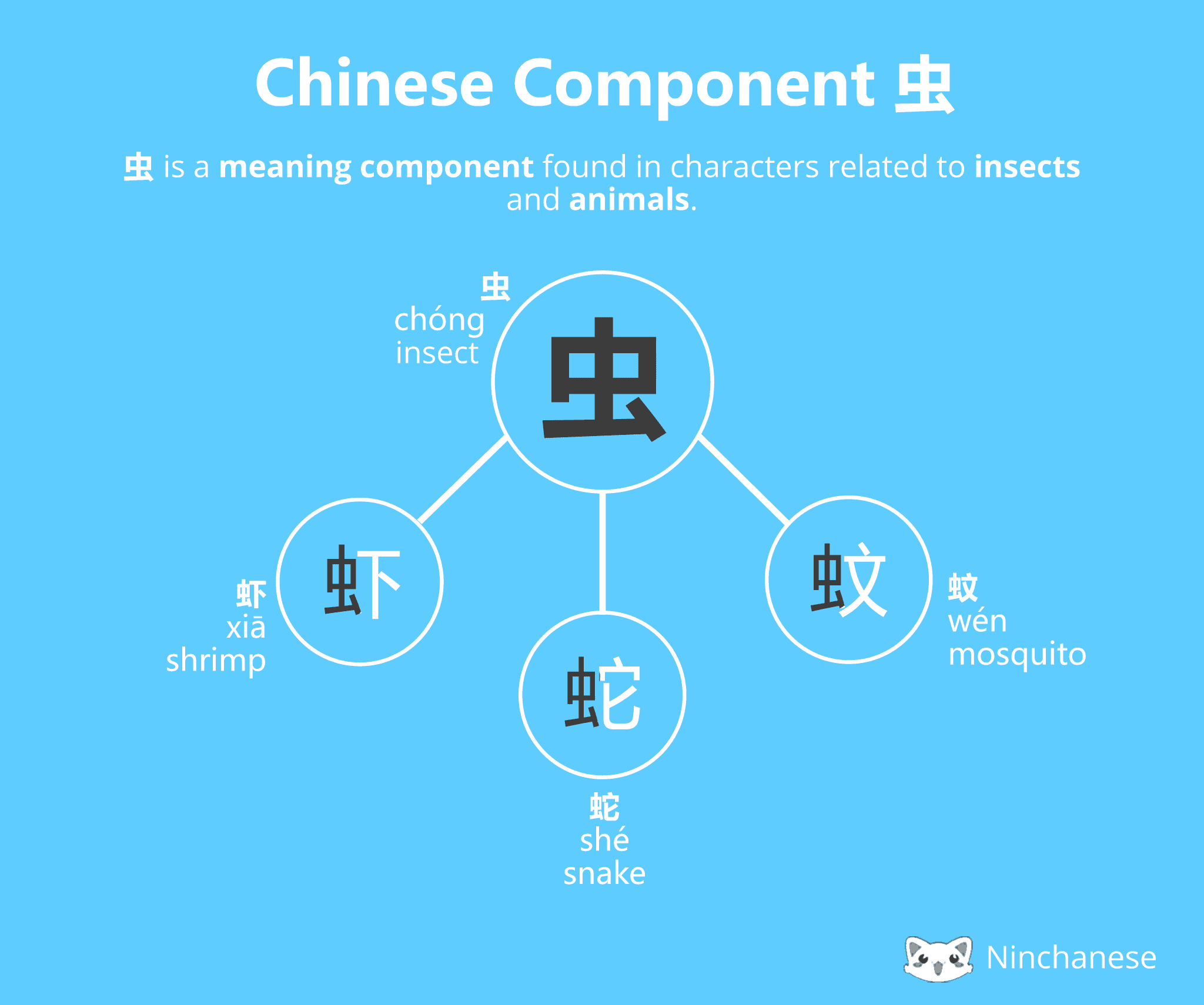 Character Component 虫 insect (meaning) - Ninchanese